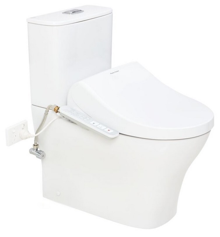 Wolfen 800 Back to Wall Rimless Inwall Toilet Suite with Single Flap ...