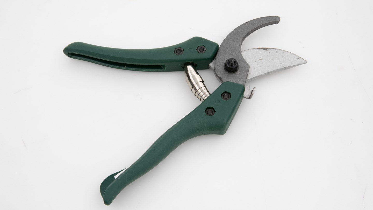Cyclone 660436 Quick Release Review | Secateurs | CHOICE
