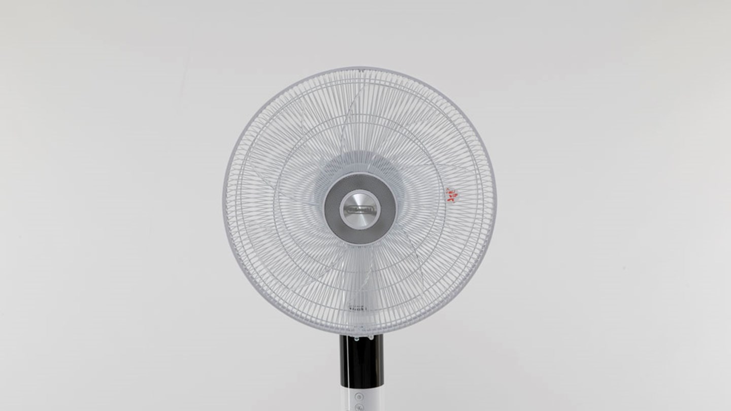 DeLonghi 360° Oscillation Fan DEAPF40.WH Review | Pedestal and tower ...