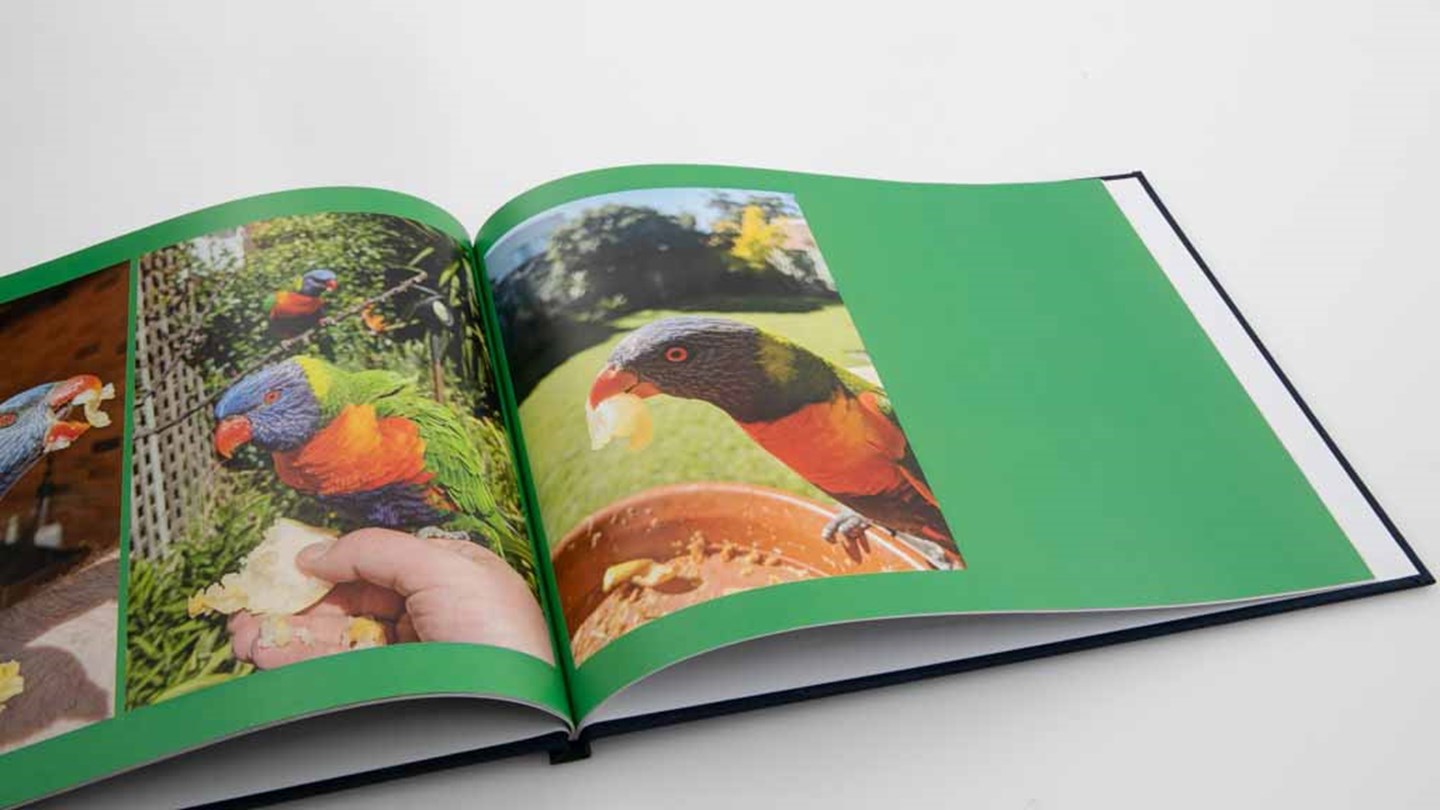 Domayne Photos 8x11" Classic Hard Cover Book Review | Photo book ...