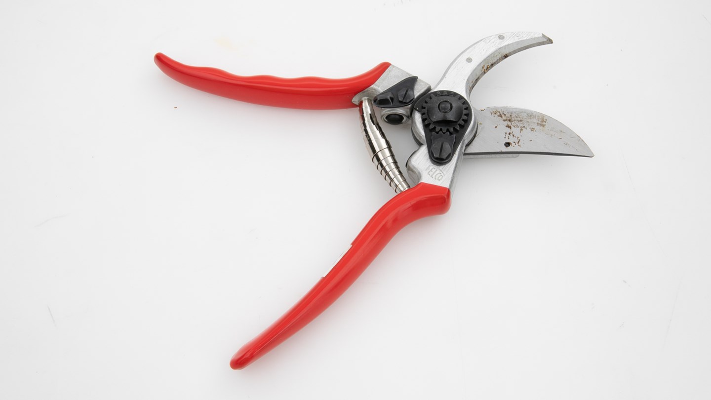 Felco 2 Review | Secateurs | CHOICE