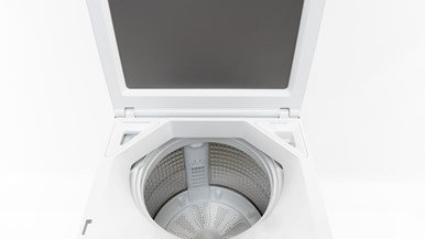 Fisher & Paykel WL8058G1 review - CHOICE