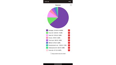 Fudget Pro Review | Budgeting app | CHOICE