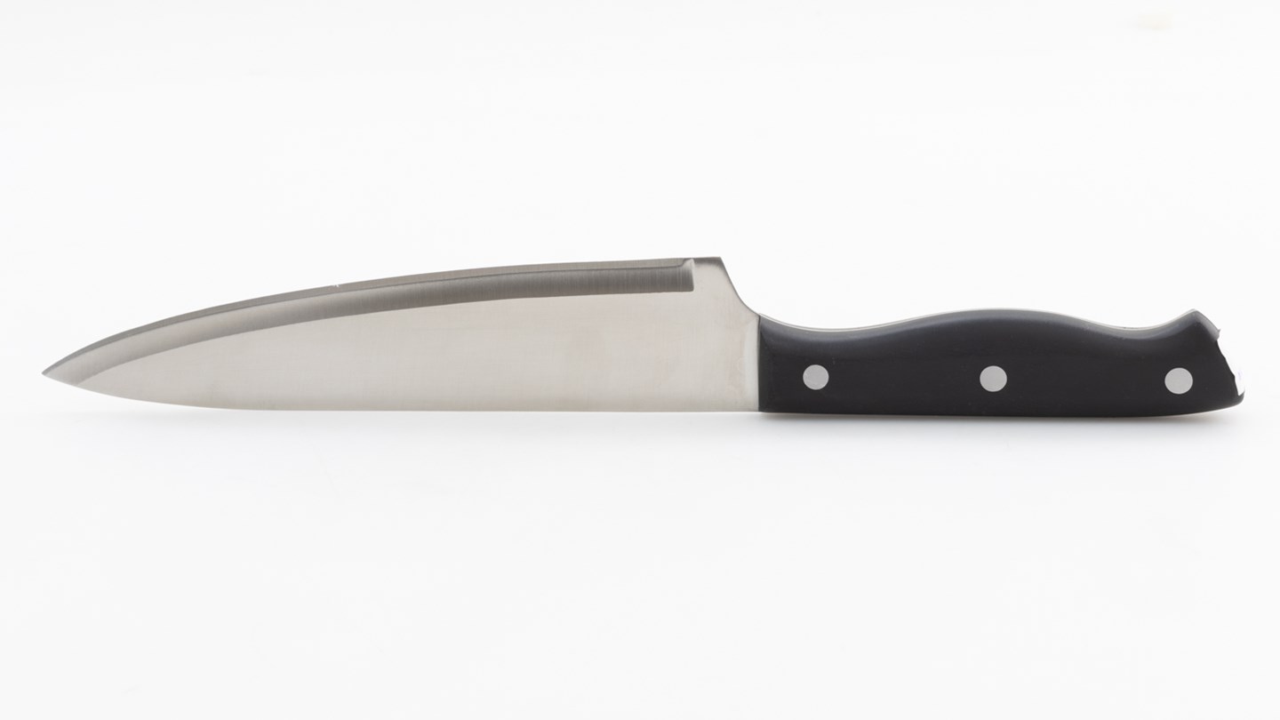 Mint Cooks Knife 20cm Review | Kitchen knife | CHOICE
