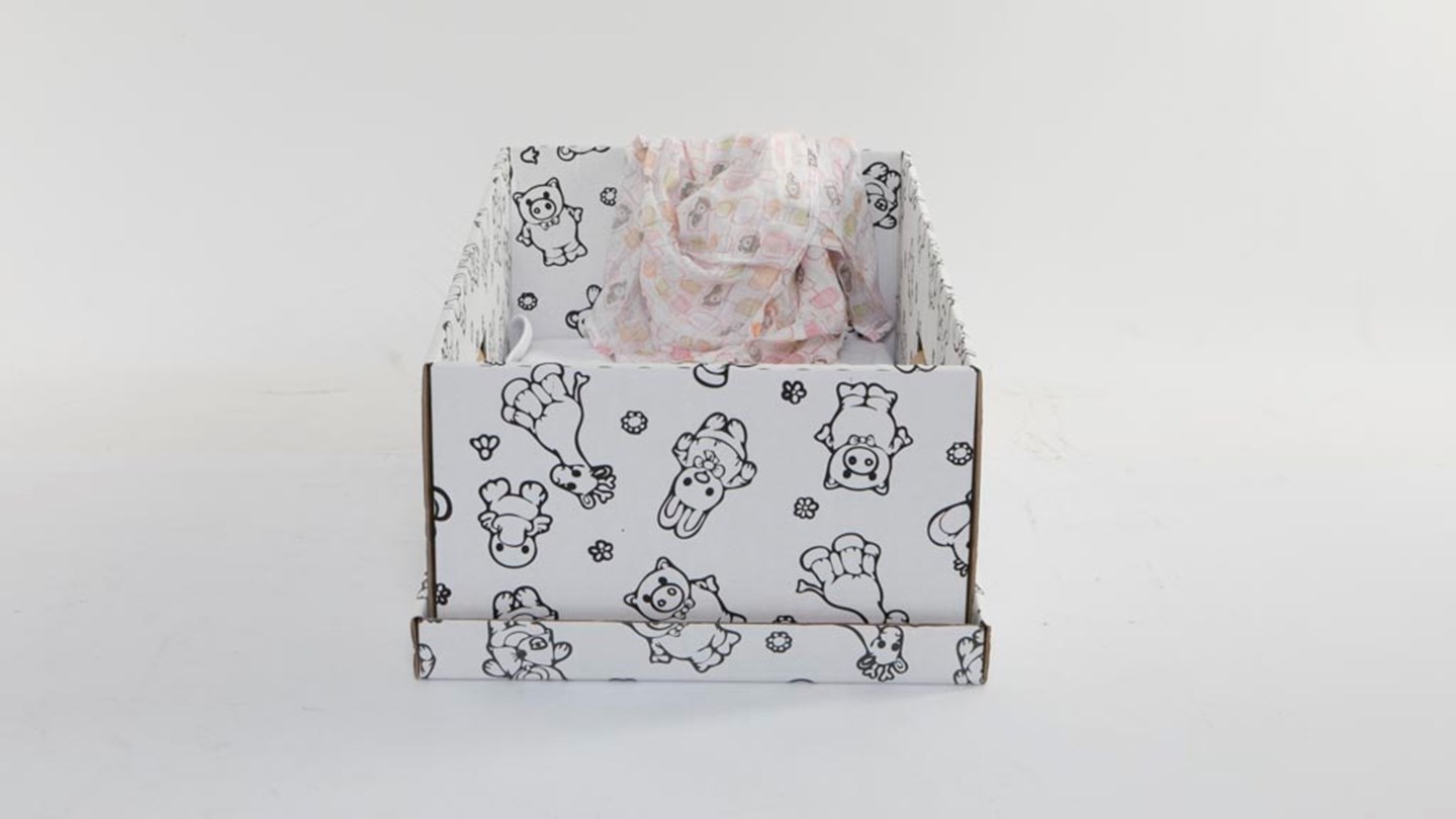 The Cardboard Box The Bed Box Review | Bassinet and bedside sleeper ...